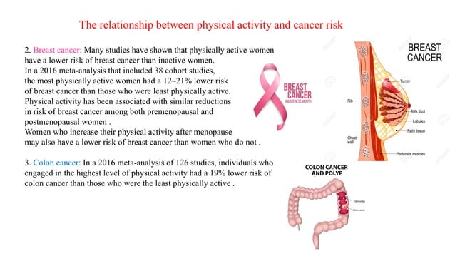 Physical activity and cancer | PDF | Cancer | Diseases and Conditions