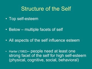 Physical_Activity_and_the_Self.ppt