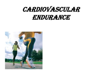 Physical activity and fitness-School children | PDF
