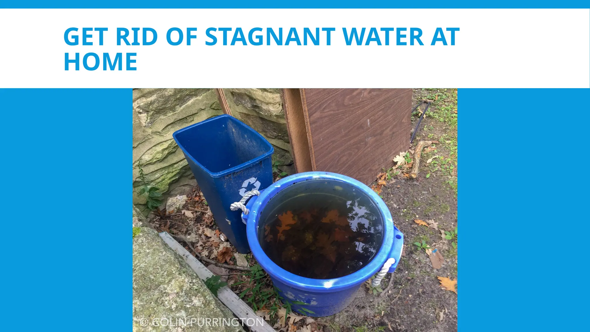 Physical Activity Participation in Improving Family Health.pptx