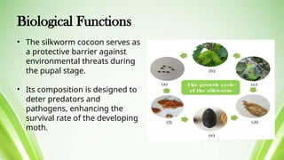 Physical & Chemical Characters Of Silkworm Cocoon.pptx