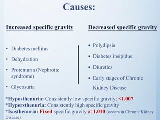 Physical and chemical examination of urine | PPTX | Chemistry | Science