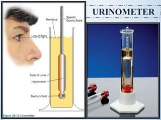 Physical and chemical examination of urine | PPTX