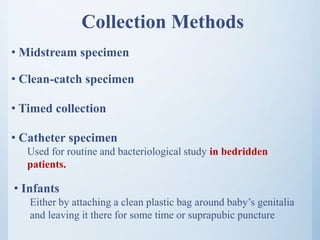 Physical and chemical examination of urine | PPTX