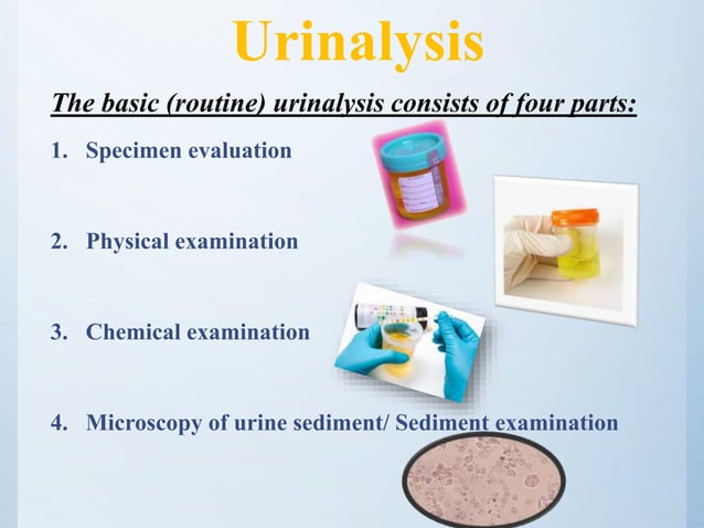 Physical and chemical examination of urine | PPTX | Chemistry | Science
