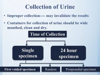 Physical and chemical examination of urine | PPTX