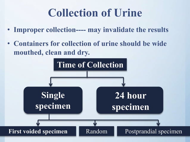 Physical and chemical examination of urine | PPTX | Chemistry | Science