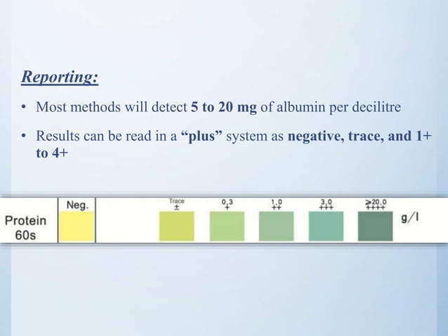 Physical and chemical examination of urine | PPTX | Chemistry | Science