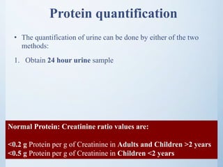 Physical and chemical examination of urine | PPTX
