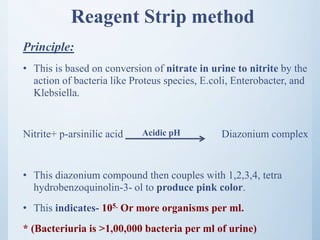 Physical and chemical examination of urine | PPTX