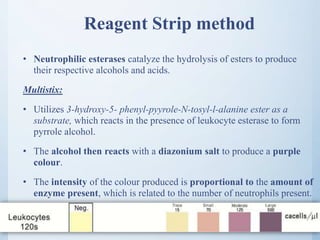 Physical and chemical examination of urine | PPTX