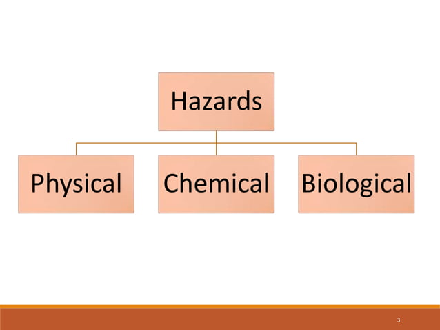 Physical and chemical hazards in food | PPTX