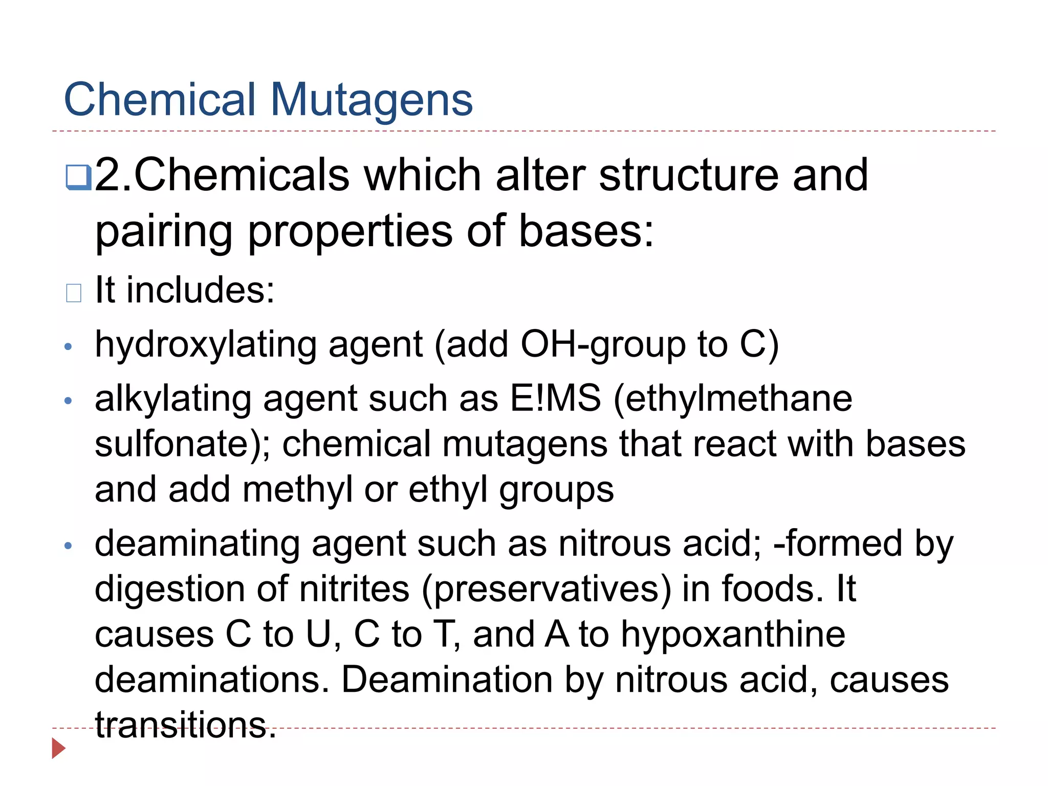 Physical and chemical mutagen copy | PPTX