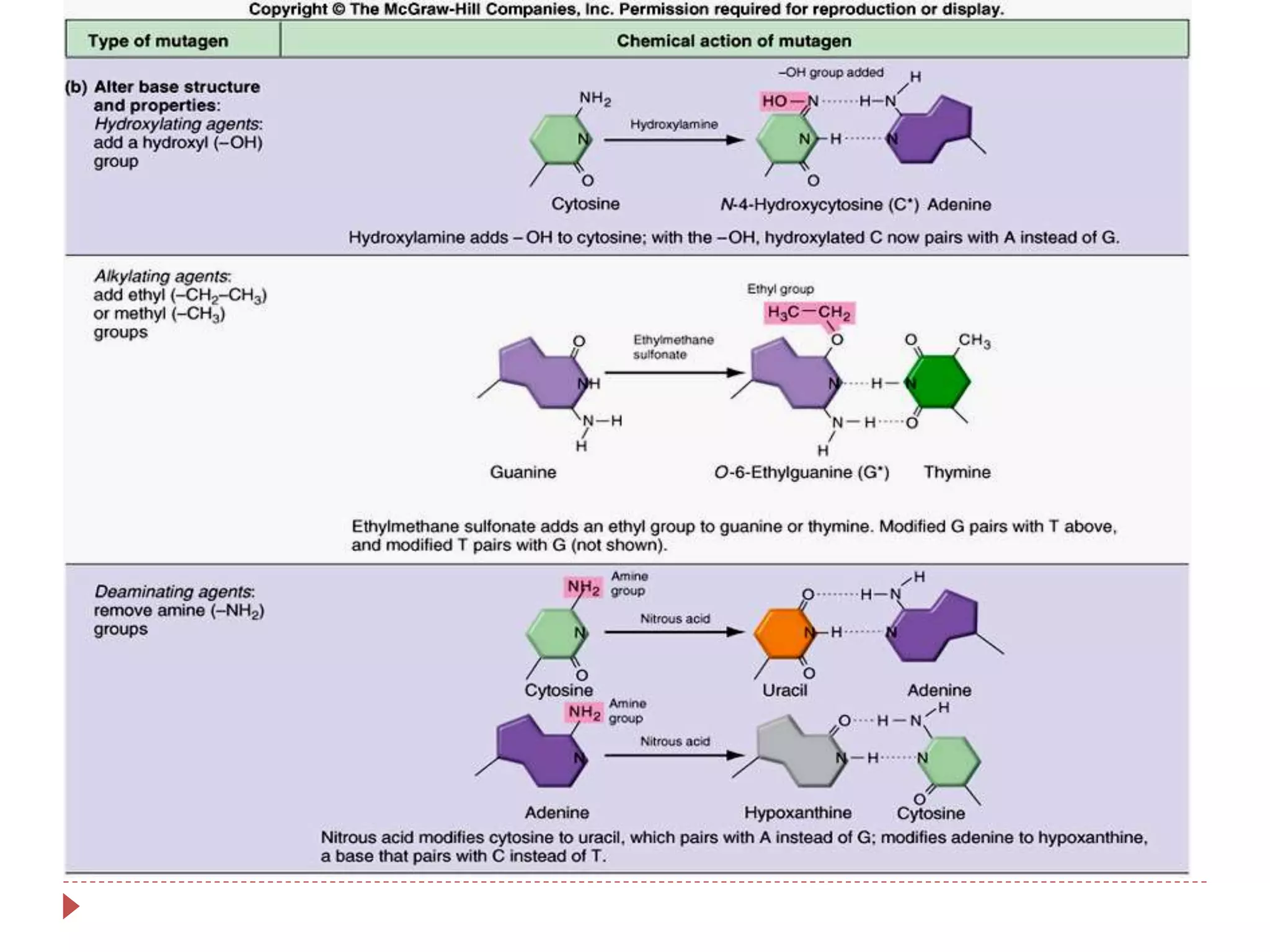 Physical and chemical mutagen copy | PPTX