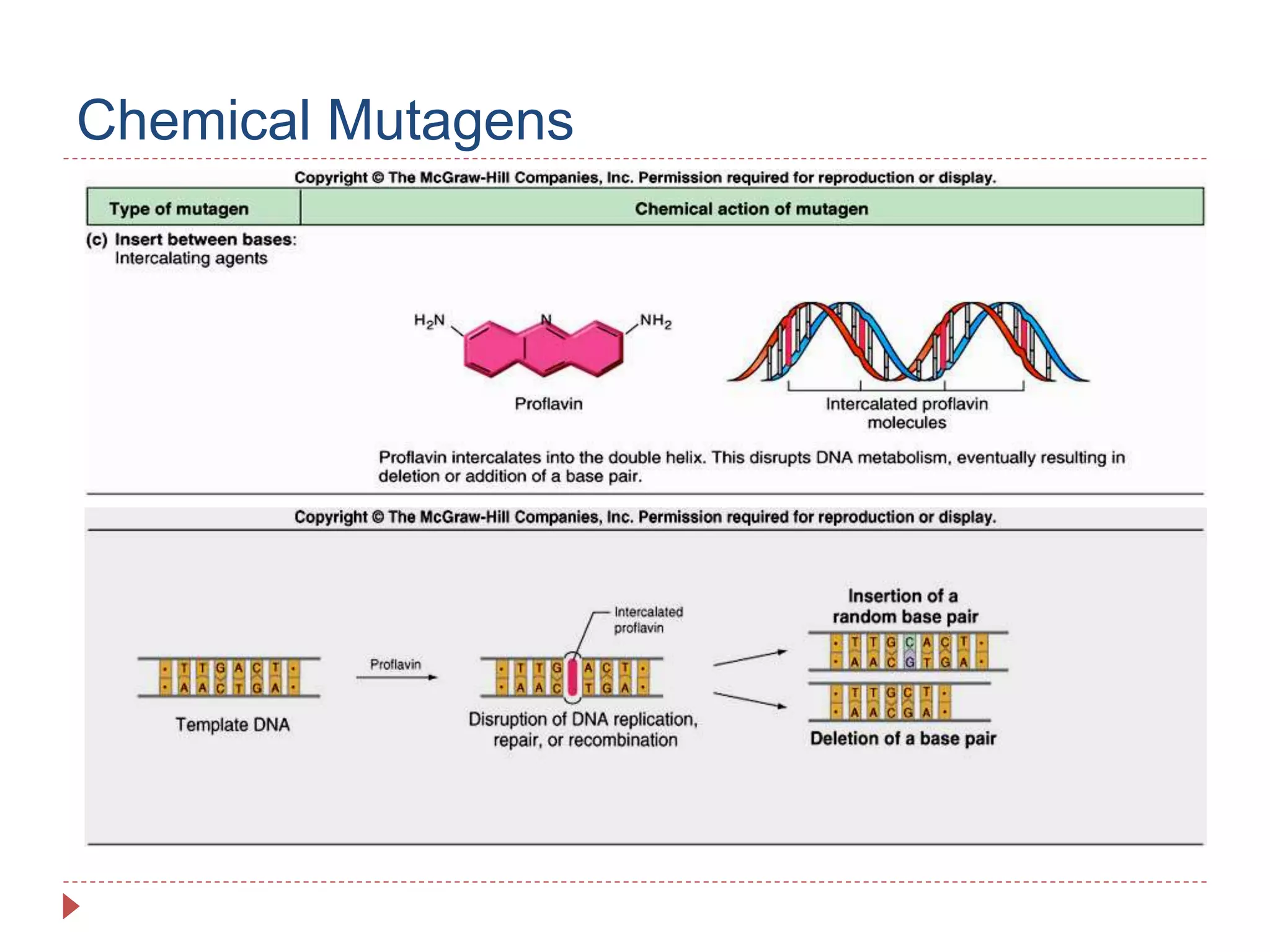 Physical and chemical mutagen copy | PPTX