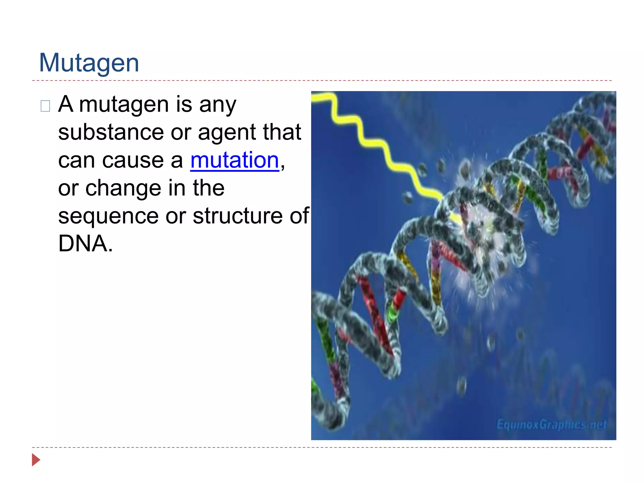 Physical and chemical mutagen copy | PPTX