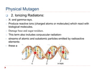 Physical and chemical mutagen copy | PPTX