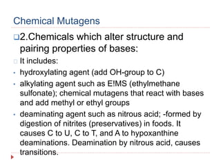 Mutagen Examples