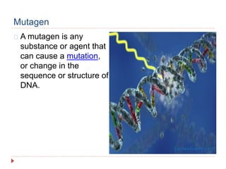 Mutagen Biology