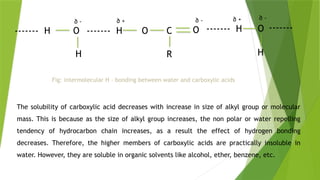 Comprehensive Overview of Carboxylic Acids: Properties and Reactions | PPTX