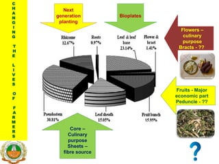 Physical and chemical properties of banana fibre.ppt