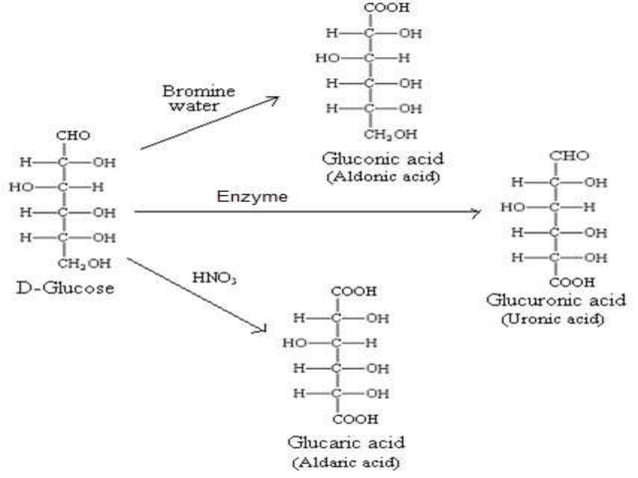 Physical and chemical properties of carbohydrates | PPTX | Chemistry ...