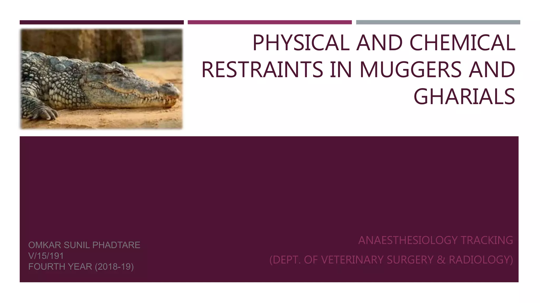 Physical and Chemical Restraints in Alligators and Gharials | PPTX