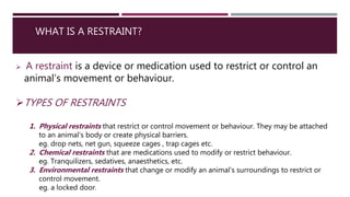 Physical and Chemical Restraints in Alligators and Gharials | PPTX