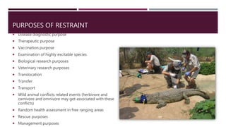 Physical and Chemical Restraints in Alligators and Gharials | PPTX