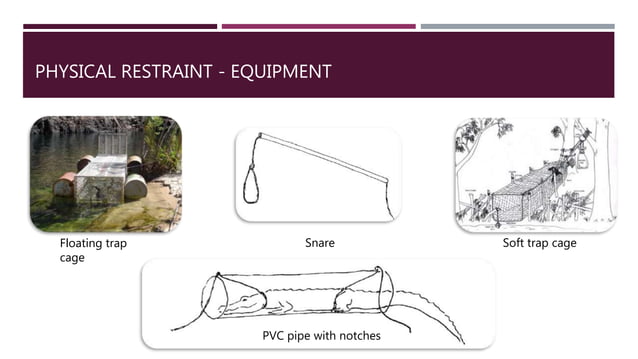 Physical and Chemical Restraints in Alligators and Gharials | PPTX ...