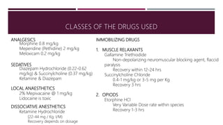 Physical and Chemical Restraints in Alligators and Gharials | PPTX