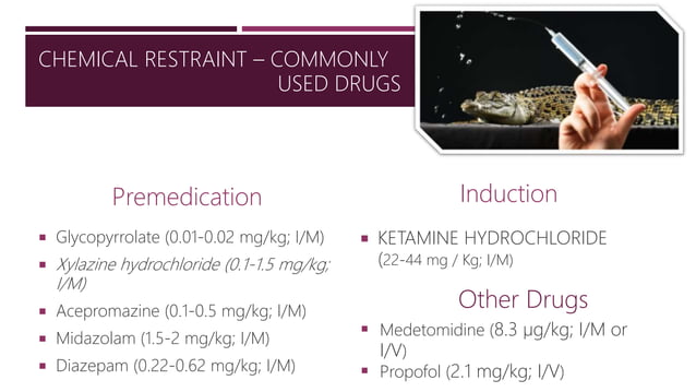 Physical and Chemical Restraints in Alligators and Gharials | PPTX ...