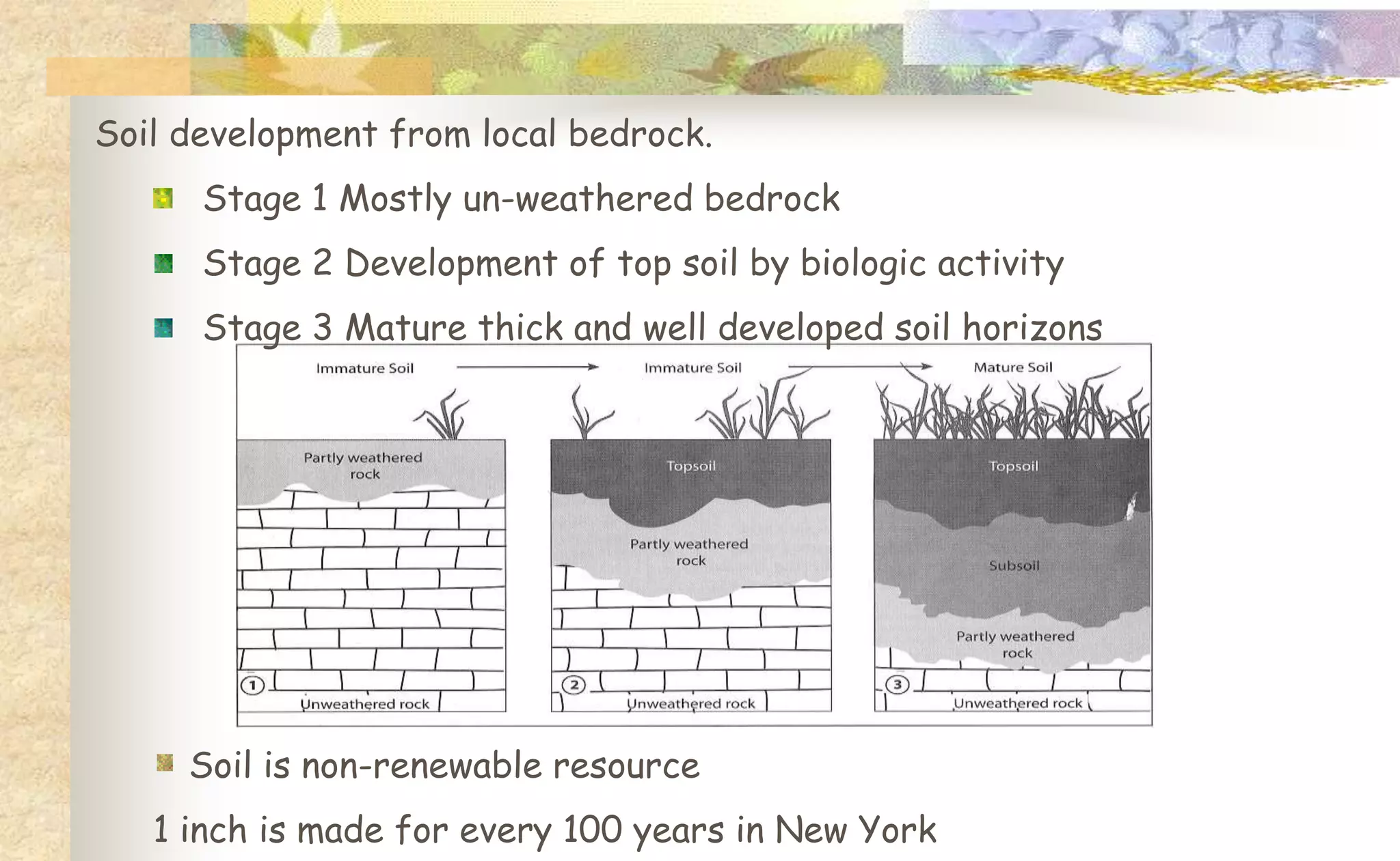 Physical and chemical weathering 11 | PPT