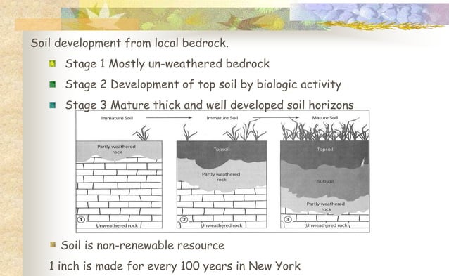 Physical and chemical weathering 11 | PPT | Weather | Science