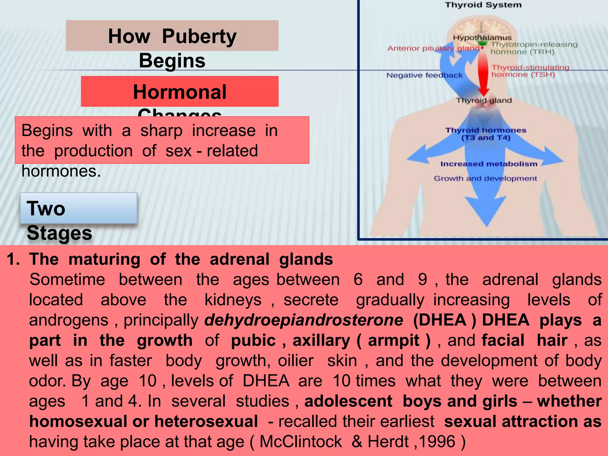 Physical and Cognitive Development of Adolescence | PPTX