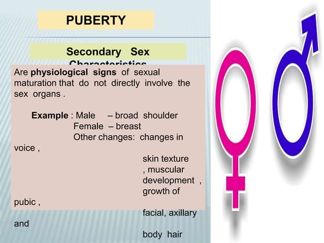 Physical and Cognitive Development of Adolescence | PPTX