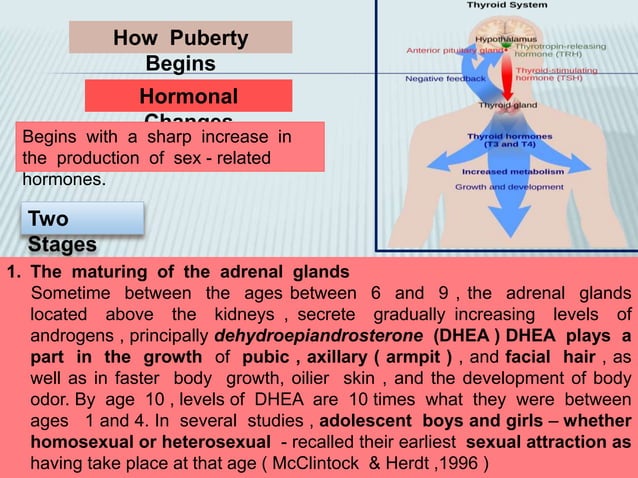 Physical and Cognitive Development of Adolescence | PPTX