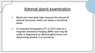 Physical and General examination of endocrine system.pptx