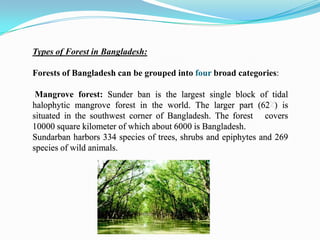 Physical and natural resources of bangladesh | PPTX