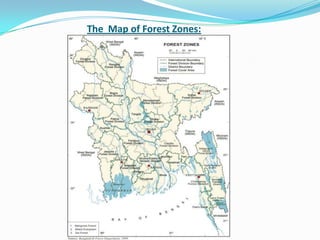Physical and natural resources of bangladesh | PPTX