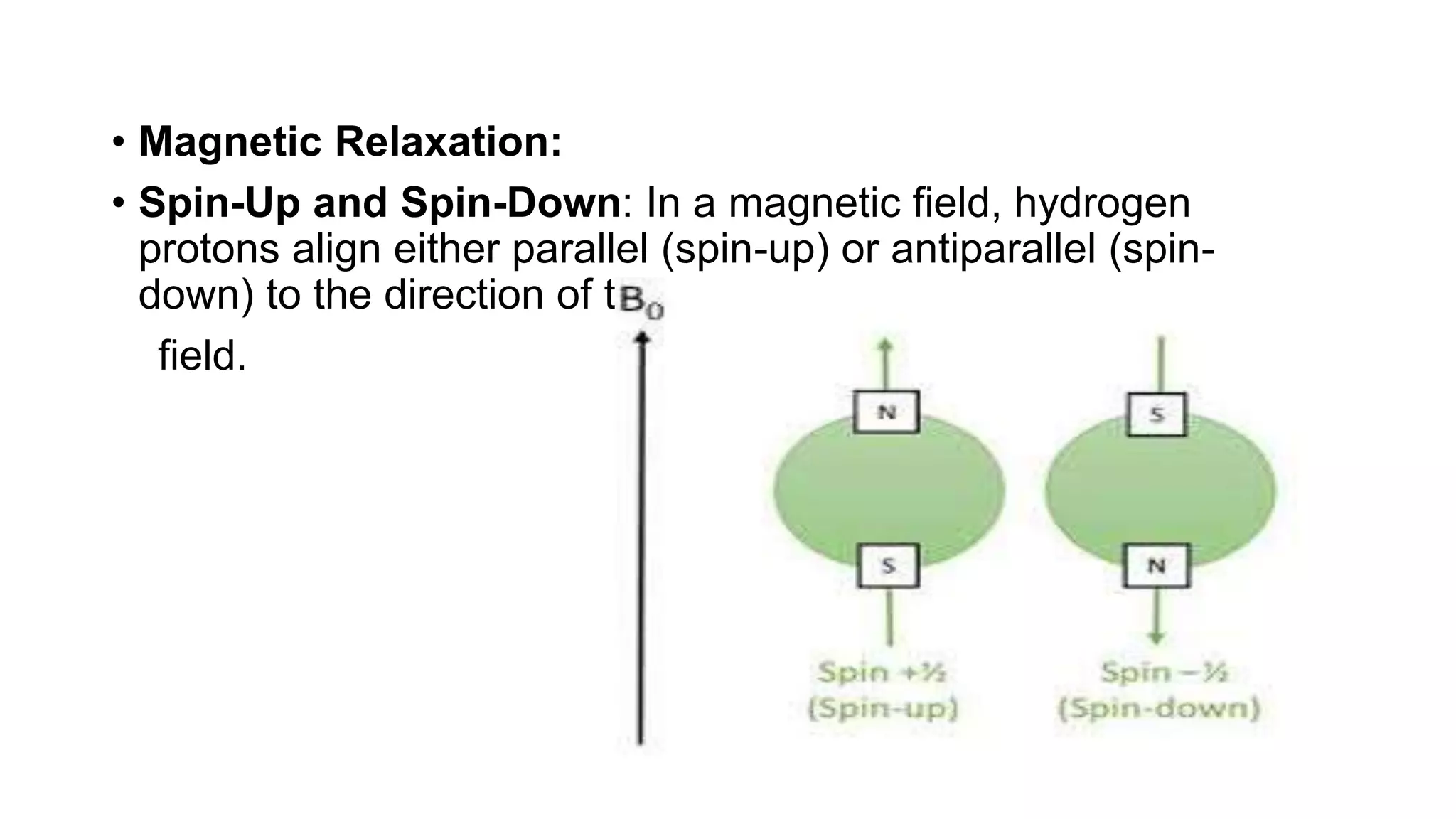 Physical And Physiological Basis Of Magnetic Relaxation, by AALIA | PPTX