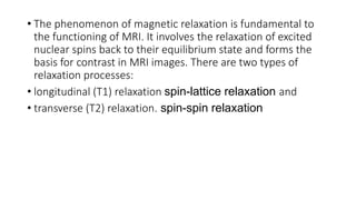 Physical And Physiological Basis Of Magnetic Relaxation, by AALIA | PPTX
