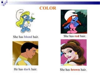 Physical appearance | PPT