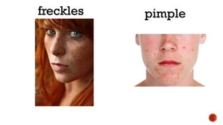 Jessica Paez's Instagram, Twitter & Facebook on IDCrawl