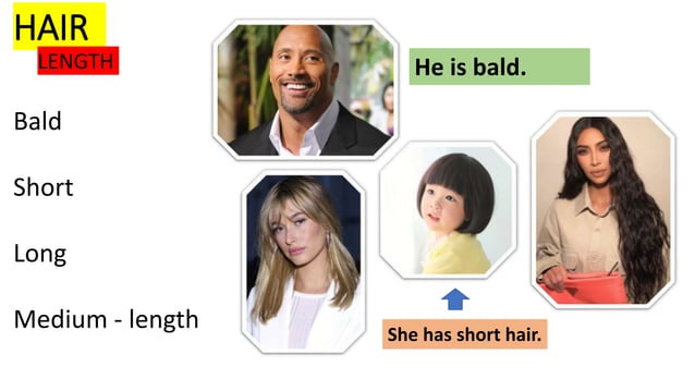 Physical appearance | PPTX