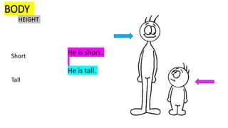 Physical appearance | PPTX