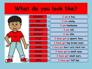 Physical appearance ppp | PPTX