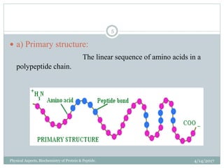 Physical aspects, biochemistry of protein & peptide | PPTX