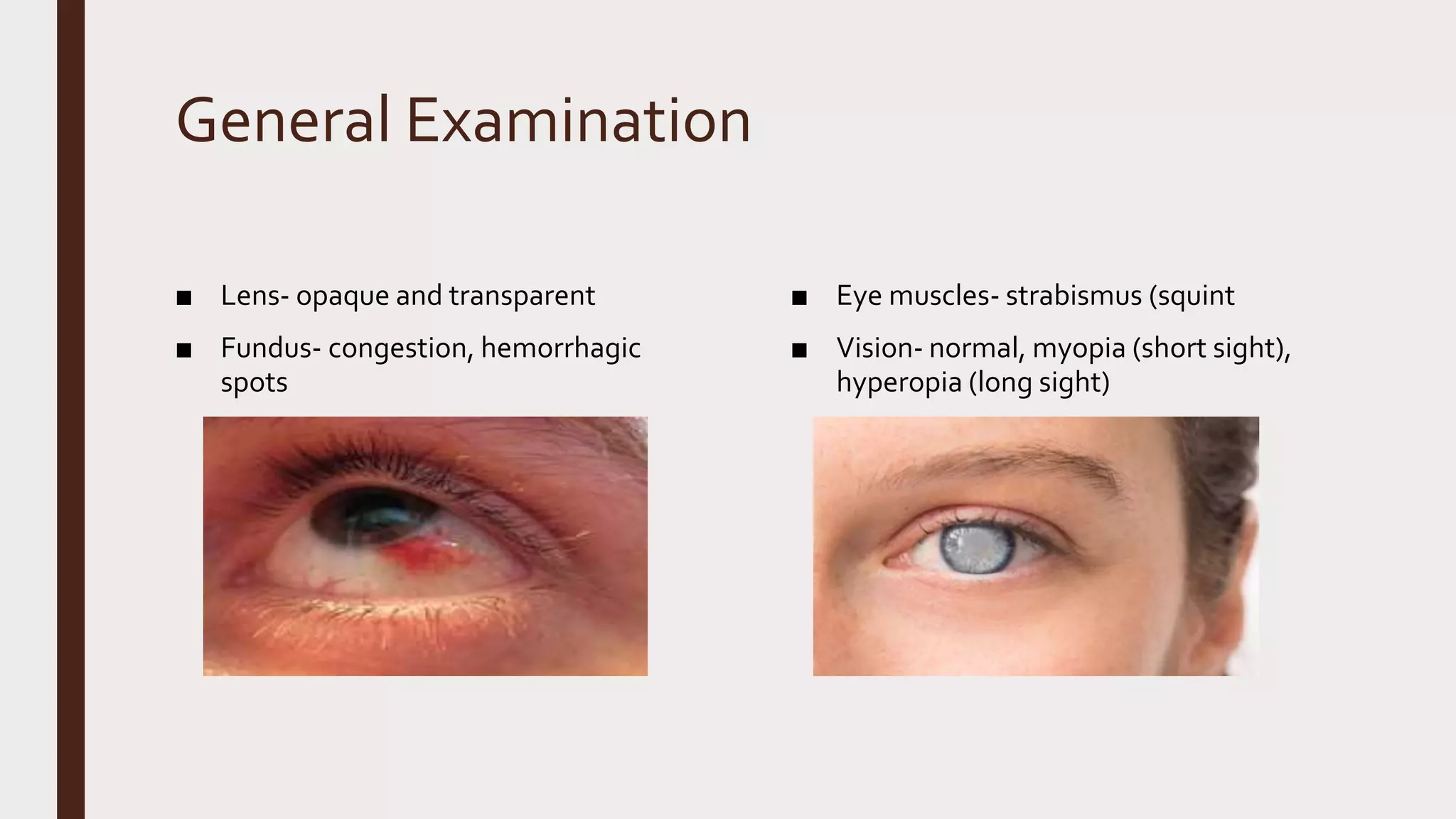 Physical assessment | PPTX