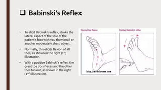 Physical assessment | PPT